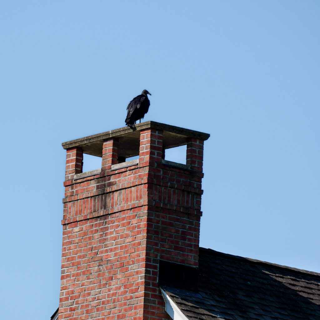 Custom Chimney Cap Installation | Quality Chimney Repair & More